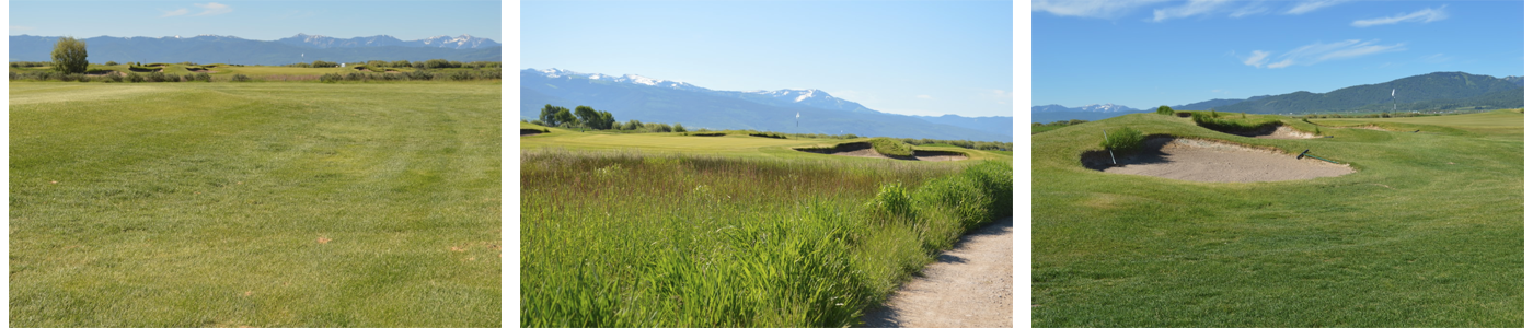 hole 8 banner | The Links At Teton Peaks
